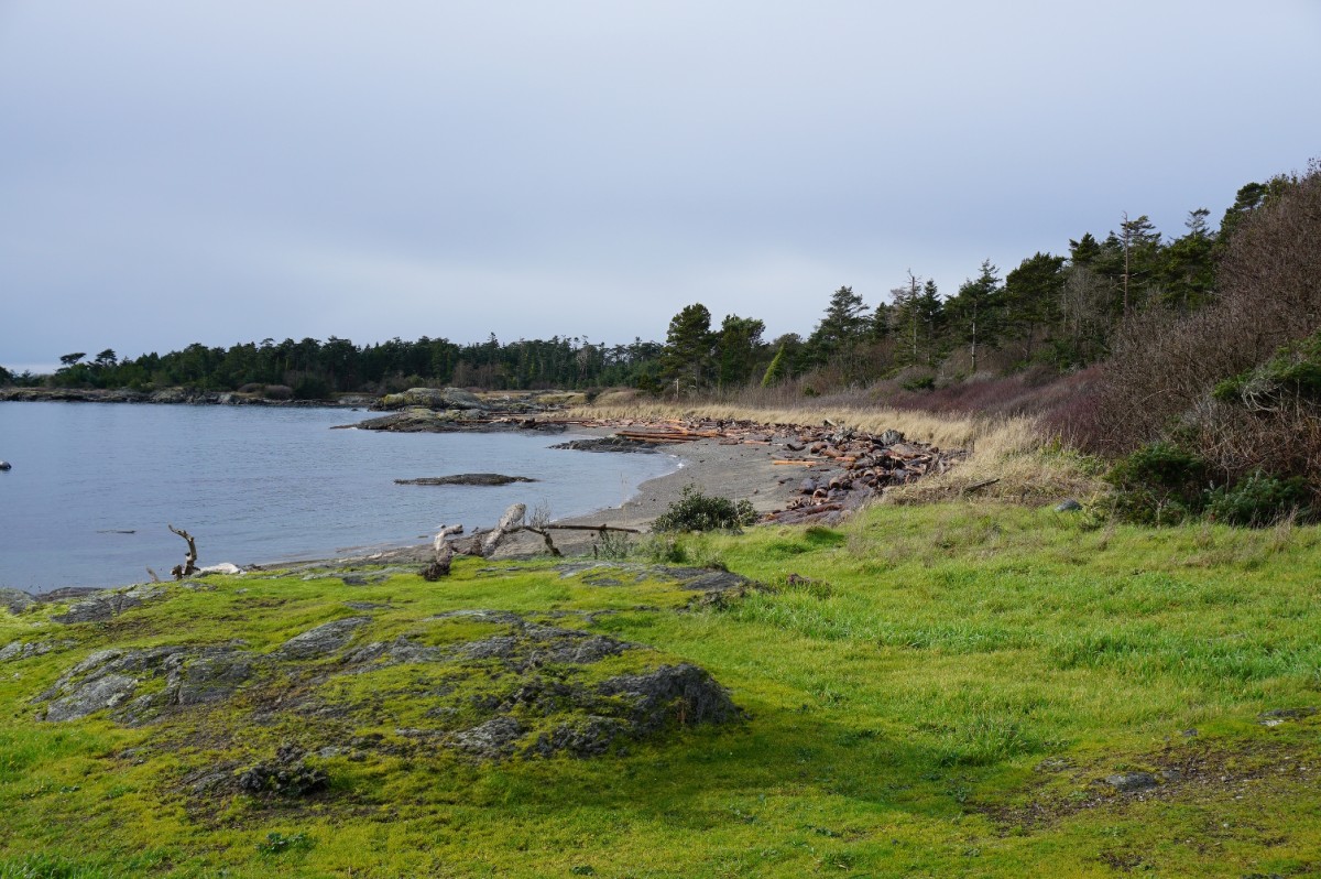 Songhees - Te'mexw Treaty Association